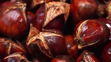 껍질 잘 까지게 밤 삶는 법 초간단 Youtube