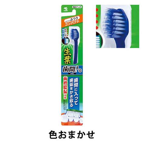생엽하 것인 바와 같이하도록치사이에 접어드는 브러시 콤팩트 보통 코바야시 제약 칫솔 치주병치조농루 재팬스토어 일본약 의약품 전문 직구 쇼핑몰