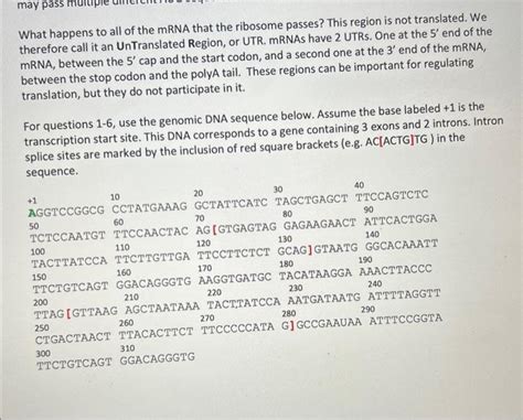 Solved Write The Sequence Of The Protein This Gene Chegg Com