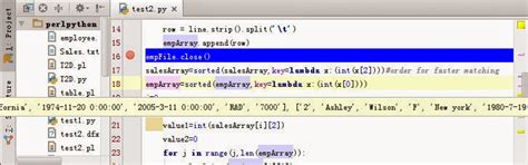 Ide And Debugging Function Comparison Between Esproc Perl And Python