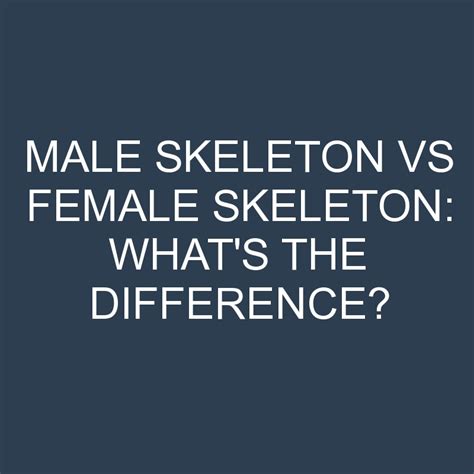 Male Skeleton Vs Female Skeleton Whats The Difference Differencess