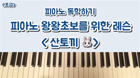 왕초보 피아노 배우기 산토끼🐰 피아노독학 피아노레슨🎹 Youtube