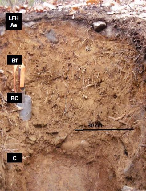 Figure 1 From Fate Of Limestone Dissolution Products In Acidic