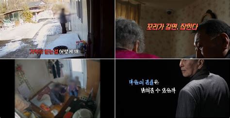 점잖은 70대 마을 이장 90대 할머니 성추행 추악한 이중생활