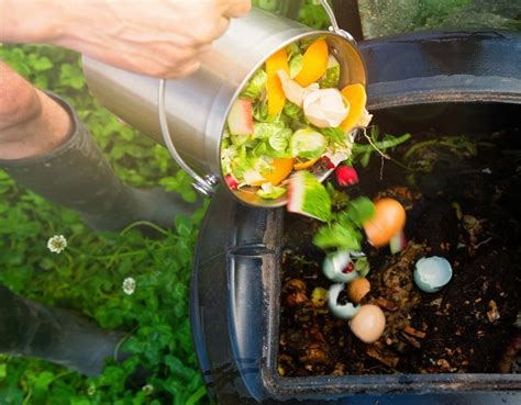Quick Guide To Composting How To Create A Compost Heap At Home Artofit