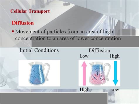 Cellular Transportation Maintaining Equilibrium Cellular Transport Passive Transport