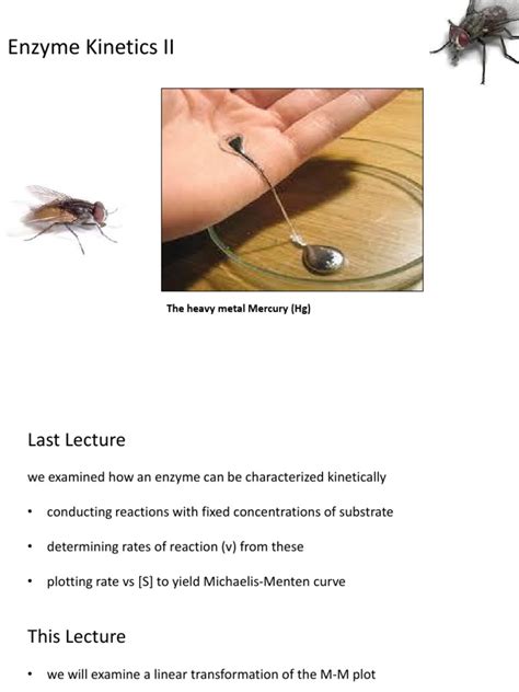 PDF Lecture 13 Enzyme Kinetics II DOKUMEN TIPS