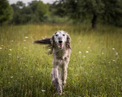 운전면허증을 싸게 따는 방법 효율적으로 비용 절감하는 전략