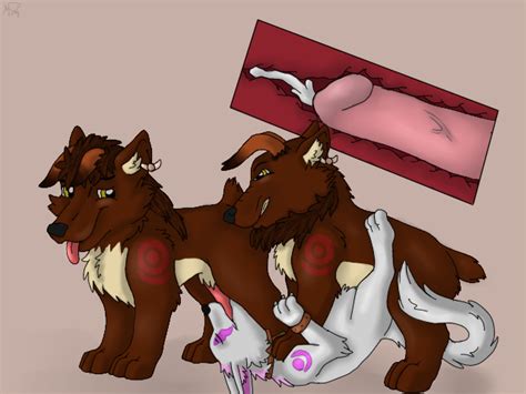 Rule 34 Animal Bear Bear Form Cat Form Druid Druid Feral Feline