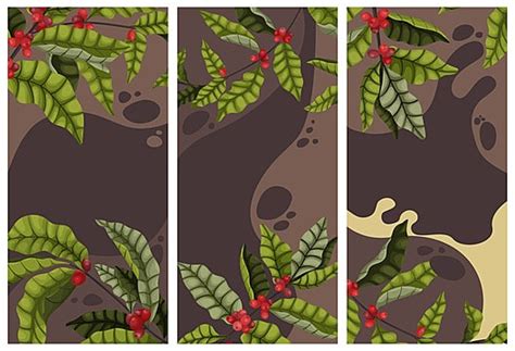 무료 커피 커피 원두 배경 이미지 커피 홍보 그림 사진 배경 Png 및 벡터