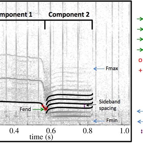Spectrogram Illustrating The Parameters That Were Measured For Acoustic