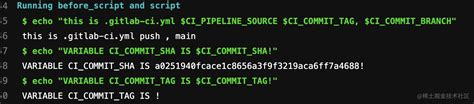 Gitlab Cicd自动构建 Gitlab Ciyml详细配置解读 掘金