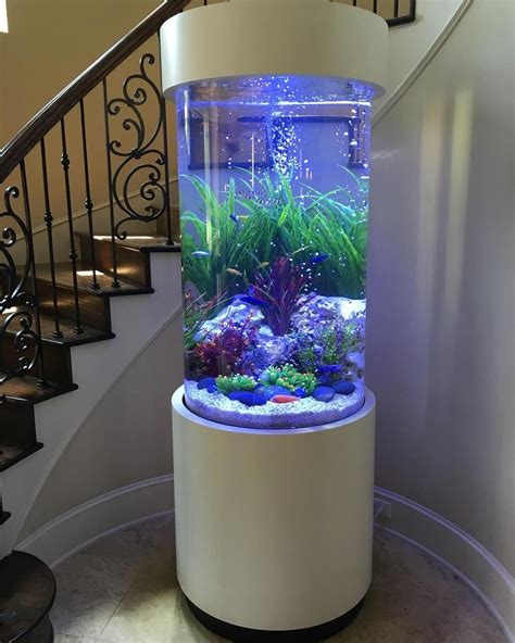 Types Of Fish Tanks At Meagan Burlingame Blog