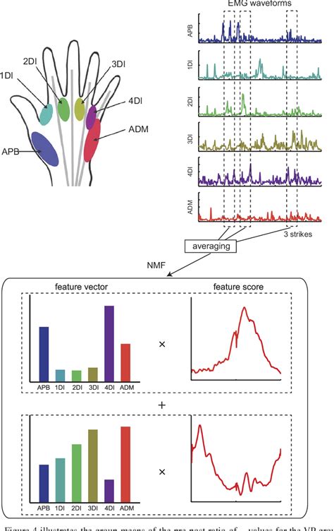 Figure 1 From Temporal Exploration In Sequential Movements Shapes Efficient Neuromuscular