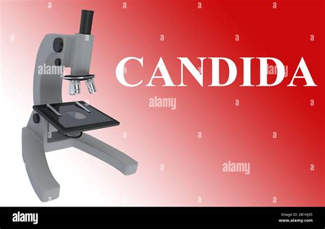 3d Illustration Of A Microscope With Candida Title Isolated On Red