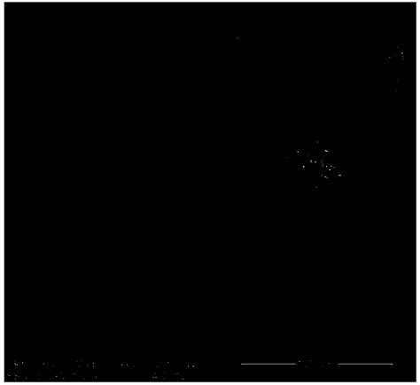 Method For Improving Nickel Based Tungsten Carbide Laser Cladding Coat Eureka Patsnap