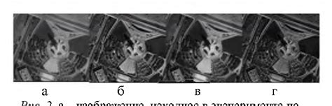 Figure 2 From Modeling The Discovery Process Of The Rebirth Of The