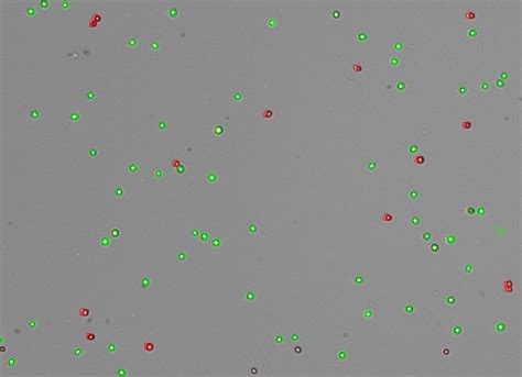 Celldrop Automated Cell Counters Gc Biotech