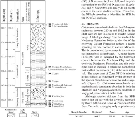Stratigraphic Column Of The Early To Middle Eocene Section Of The South