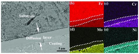 A Sem Morphology Of The Diffusion Layer Between Substrate And Mo2nib2 Download Scientific