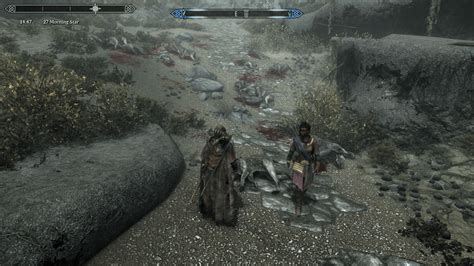 I Didnt Spawn These Guys In I Was Just Jumped By 20 Wolves At Once R Skyrim