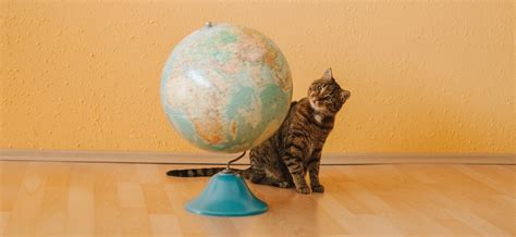 Список «недружественных России стран — 2025