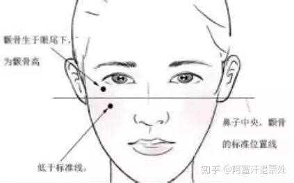 颧骨高和颧骨低的 差距 知乎