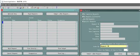 在浏览器访问 Oracle Ebs 应用程序踩坑记
