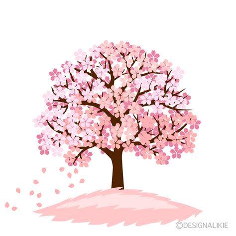Cherry Blossom Clipart