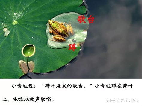 部编版一年级下册第13课荷叶圆圆图文讲解 知识点梳理 知乎
