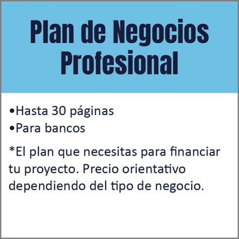 Plan De Negocios Profesional Muchas Luces