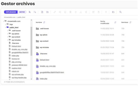 Importancia Del Htaccess Y Robots Txt Vivra Estudio
