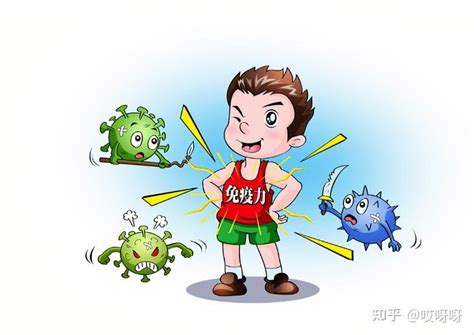 阳康后吃什么食物有助于我们身体尽快恢复 知乎