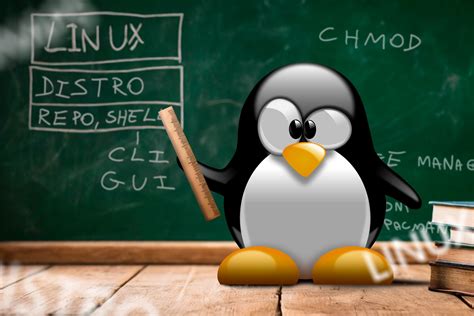 7 Essential Linux Terms Explained Distro De Repos And More