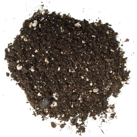 Potting Soil And Peat Moss ASTRACHEM