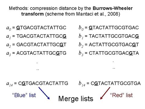 String Metrics In Classification Of Mobile Genetic Elements