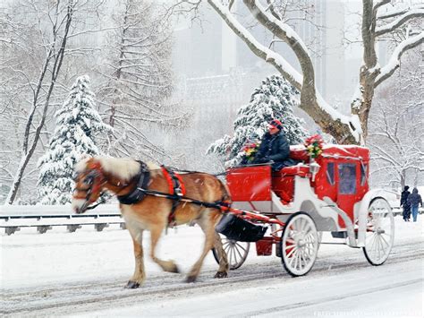 Top 8 Things To Do In Nyc During Christmas Holiday Season Ny What To Do