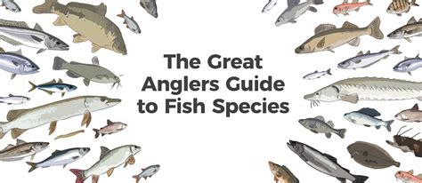 Freshwater Fish Species Identification