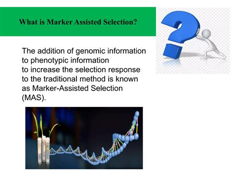 Marker Assisted Selection In Plants Pptx Gardening Home And Garden