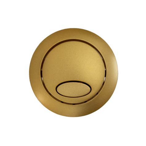 Planet Cable Dual Flush Toilet Push Button In Brushed Brass