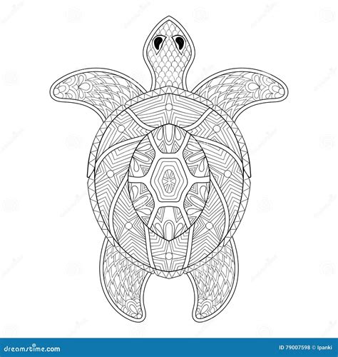 Turtle In Zentangle Style Freehand Sketch For Adult Antistress Stock Vector Illustration Of