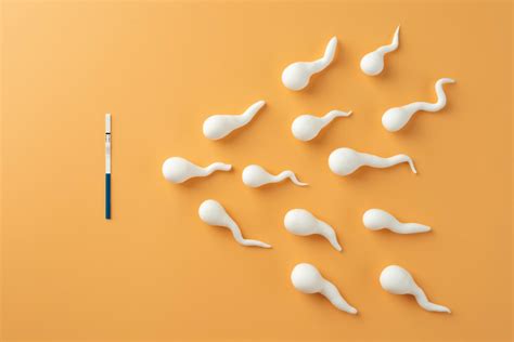 How Long Can Sperm Live In A Toilet At Frances Garrison Blog