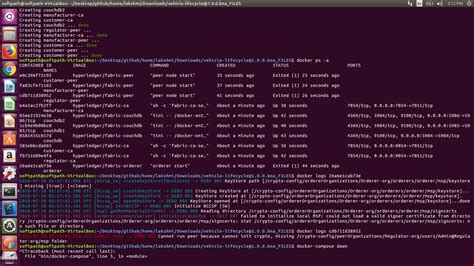 Hyperledger Fabric Msp Directory To Be Used While Defining Docker