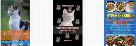 Hyperthyroidism In Cats All You Need To Know