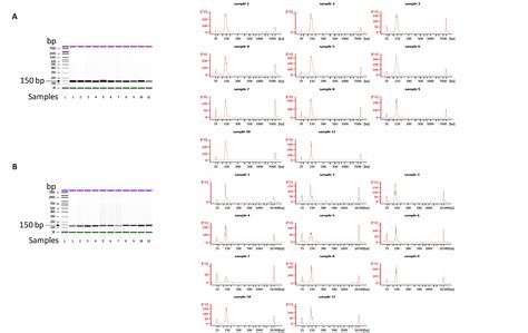 Sequencing Small Non Coding Rna From Formalin Fixed Tissues And Serum