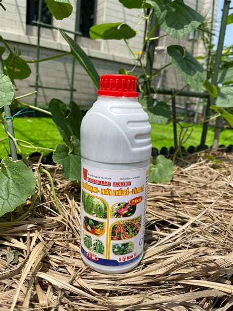 Chế Phẩm Trichoderma Bacillus Dạng Nước Dụng Cụ Hỗ Trợ Làm Vườn
