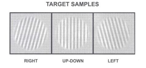 Functional Vision Analyzer Stereo Optical