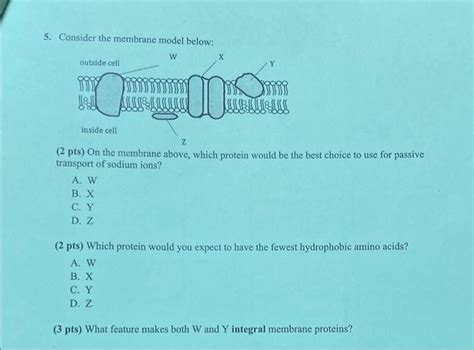 Solved Consider The Membrane Model Below Pts On The Chegg