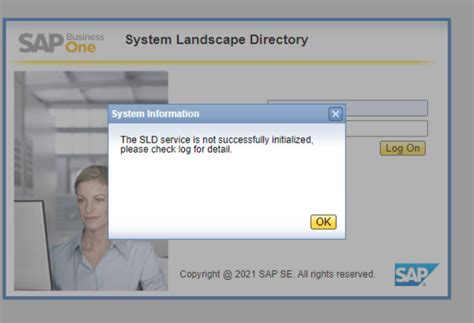 The SLD Service Is Not Successfully Initialised SAP Community