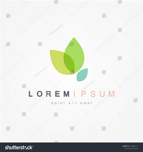 41550873 Leaf 이미지 스톡 사진 및 벡터 Shutterstock